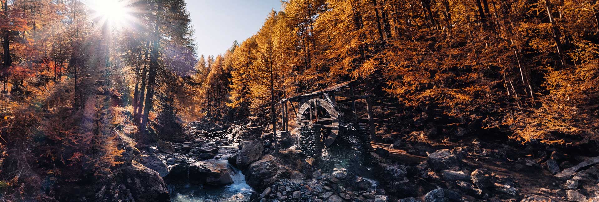 hajk | Schweizer Shop | Pfadi, Outdoor & Camping